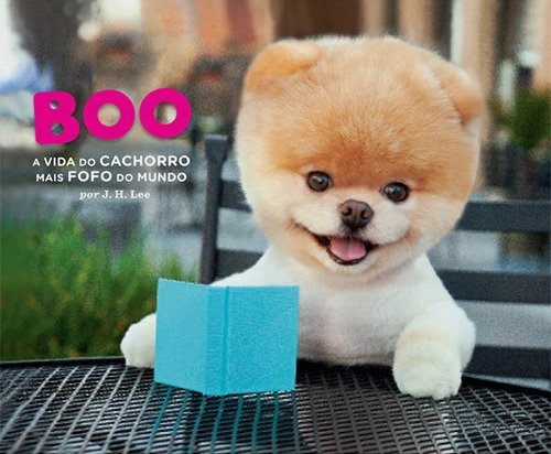 Resenha: Boo - a vida do cachorro mais fofo do mundo