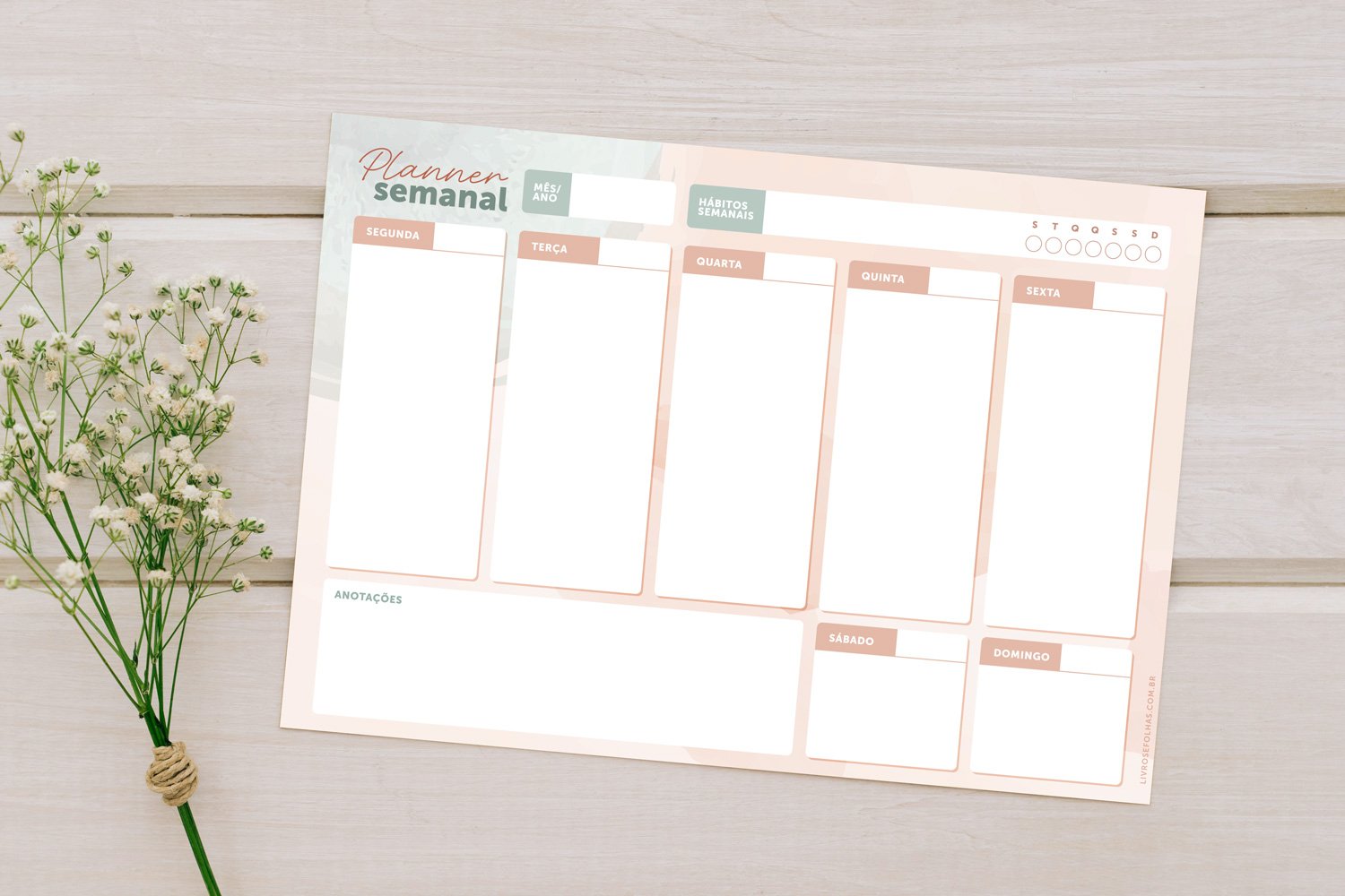 Como o planner semanal transformou minha rotina • Fluffy